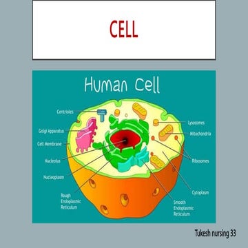 Cell introduction, definition , structure and function , slide share .pptx