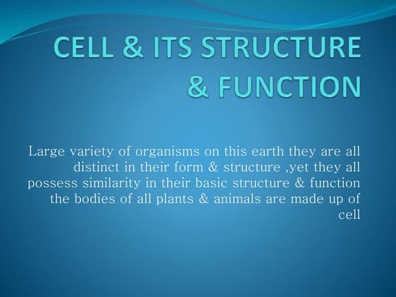Grade 8B - Plant Cell and Function - Group 2 | PPTX