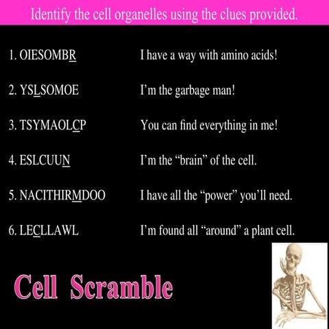 celljeopardygame.ppt an interactive gam | PPT