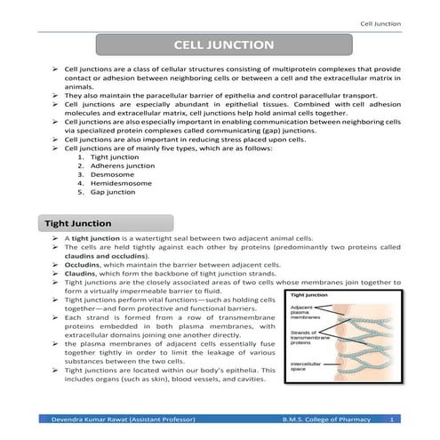 Cell junctions , cell adhesion and extra cellular matrix | PPTX