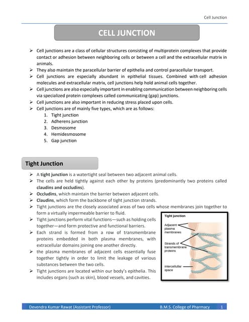 Cell junctions , cell adhesion and extra cellular matrix | PPTX
