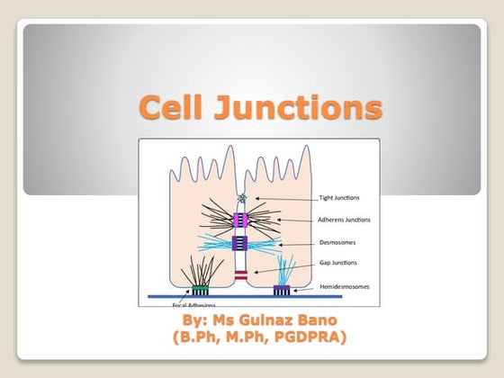 Cell junctions | PPTX