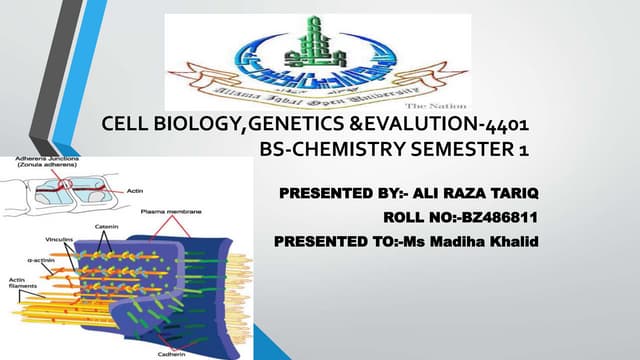 Cell Junctions Cell Adhesion And Extra Cellular Matrix Pptx