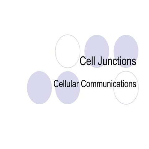 Cell Junctions Ppt Ppt About Cell Junctions Ppt