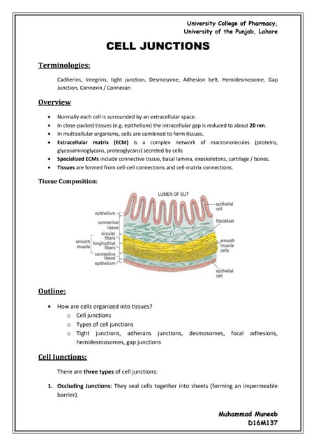 Cell junctions | PPTX