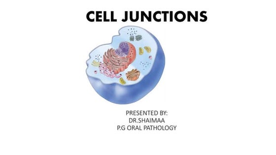Cell junction | PDF | Biological Sciences | Science