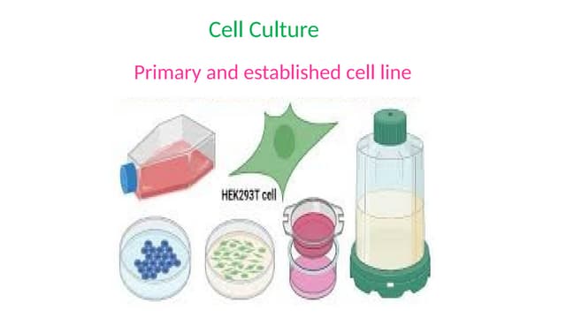 Cell lines | PPTX