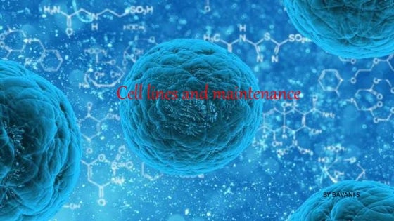 Cell lines | PPTX