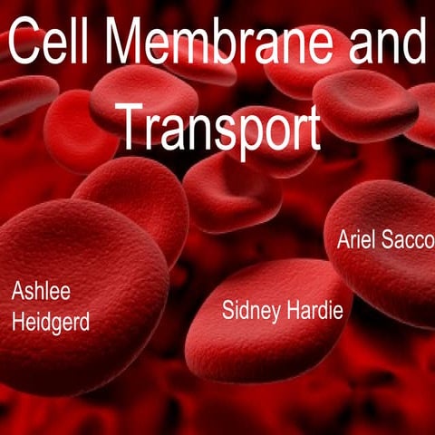 Cell Membrane | PPT