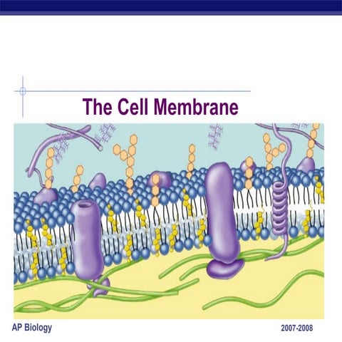 Cell membrane | PPT
