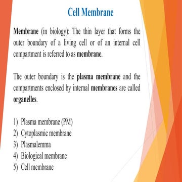 Cell Membrane.pptx