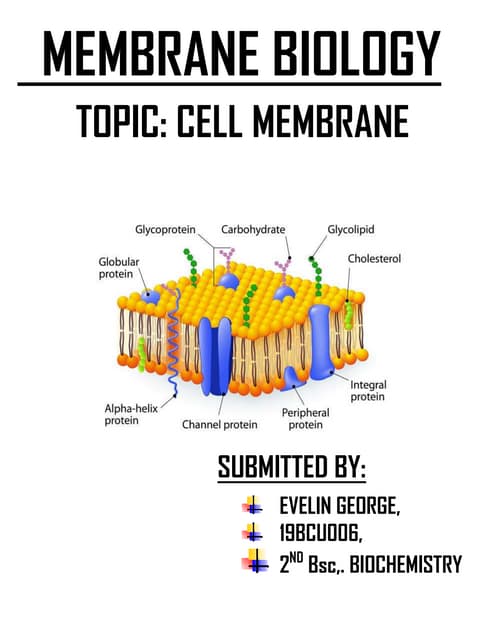 Structure of model membrane | PPTX