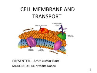 Cell membrane | PPT