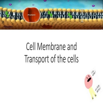 Cell Membrane and Transport of the cells.pdf