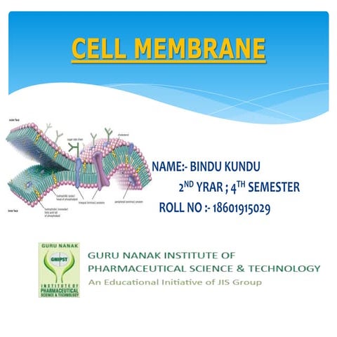 Cell membrane main 1 | PPTX | Biological Sciences | Science
