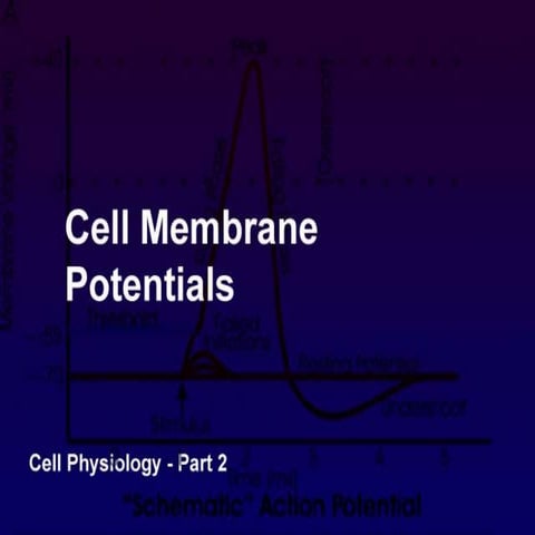 Cell Membrane Potential By Dr. Muarraf.pptx