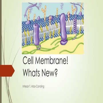 Cell membrane report | PPT