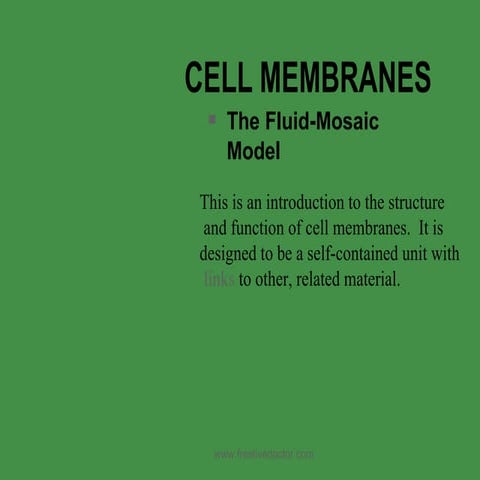 Cell Membranes | PPT