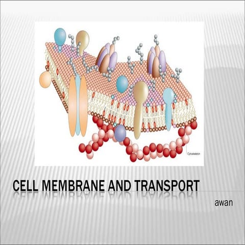 Grade 11 - Cell Membran and Transport | PPT