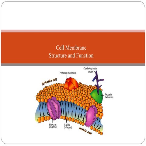 cell membrane structure for cell biology students.ppt