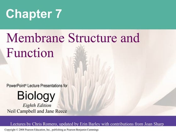 cell membrane structure.ppt