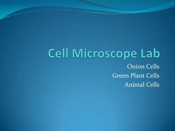 Onion and cheek cell lab | DOC | Biological Sciences | Science