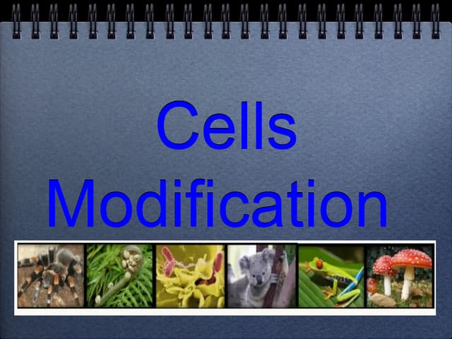 ESP 9 Q2 MODULE 7 PAGGAWA, PAGLILINGKOD. | PPTX