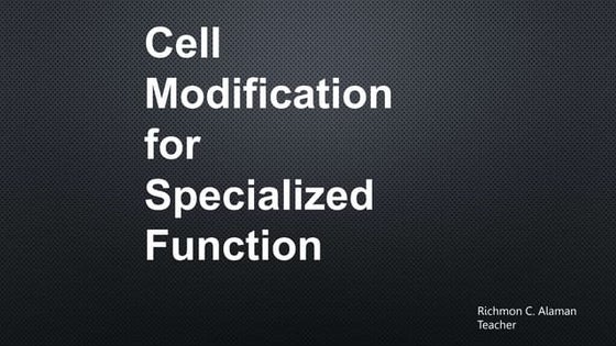 Lesson 4 Cell Modifications | PDF | Biological Sciences | Science