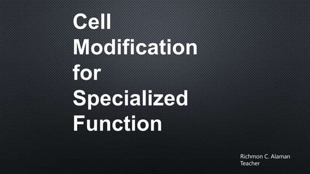 Lesson 4 Cell Modifications | PDF