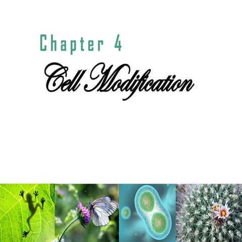 cellmodifications.pptxxxxxxxxxxxxxxxxxxx | PPTX