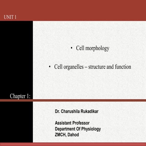cell_morphology_organelles_Physiology_ 07_02_2019.pdf