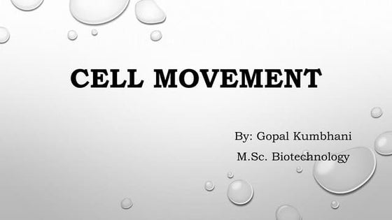 Cytoskeleton presentation (introduction structure & function) | PPT