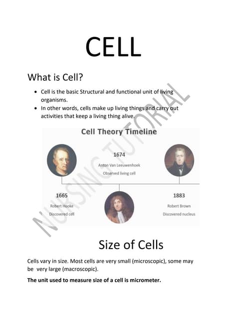 Parts of cell and their functions | PPT