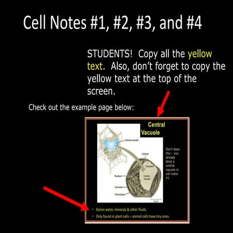 Cell Notes - presentation for middle and high school | PPTX ...