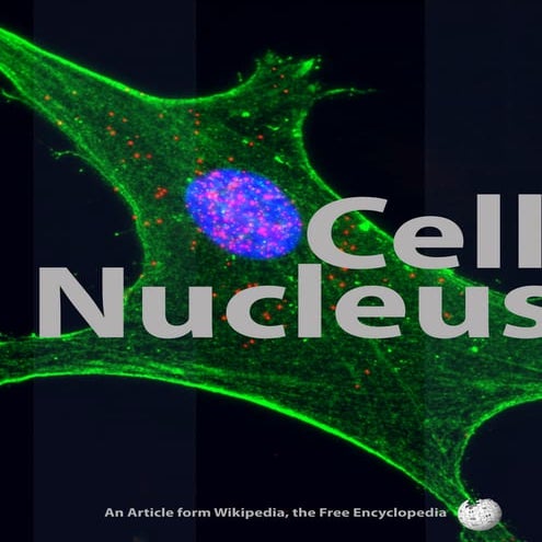 Cell nucleus | PDF