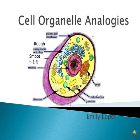 Animal Cell Analogy | PPTX