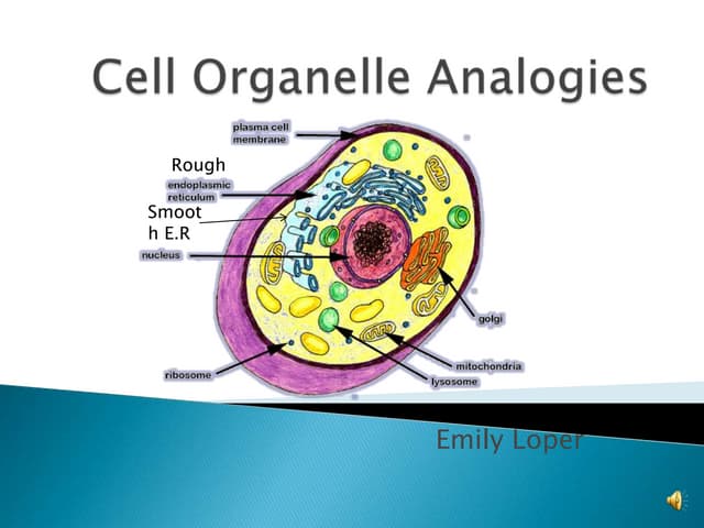 Cell Analogy Example | PPTX