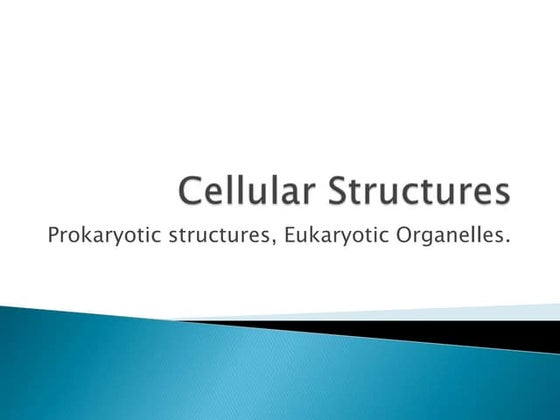 Cell & Types | PPT