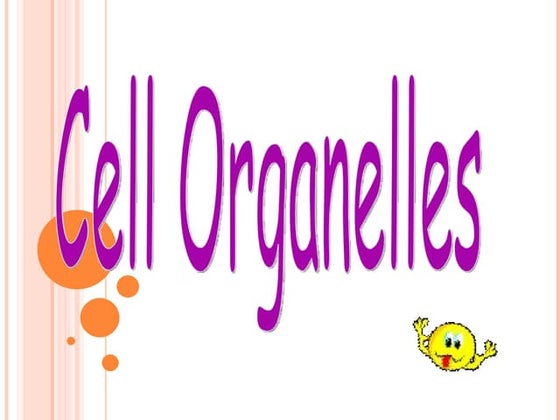 Summary of cell structures | PDF