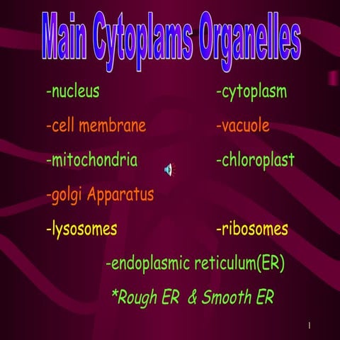 Cell Organelles | PPT