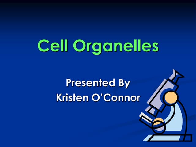 Organelles in an Animal Cell | PPT