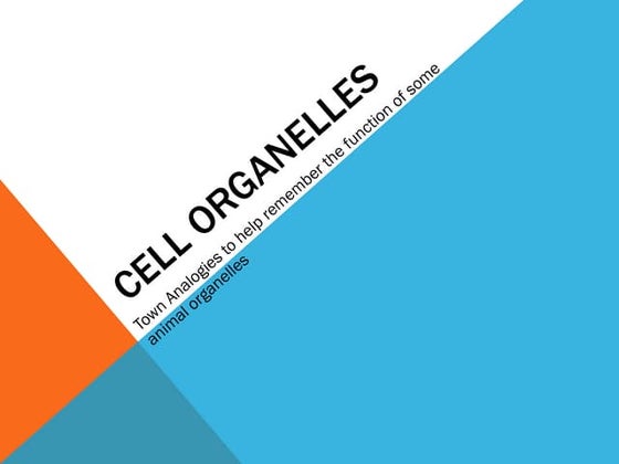 Cell project example | PPT