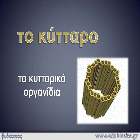 ΒΙΟΛΟΓΙΑ_ΤΕΣΤ_ΠΡΟΣΟΜΟΜΟΙΩΣΗ_2025 Γ ΛΥΚΕΙΟΥ.pdf