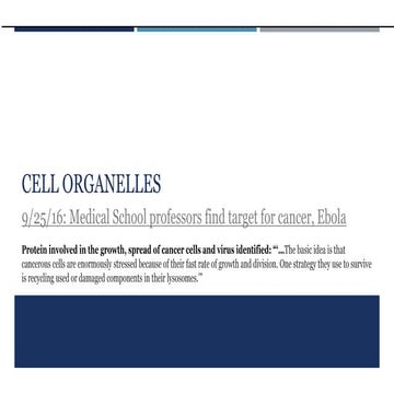 Cell-organelles powerpoint presentation.pptx