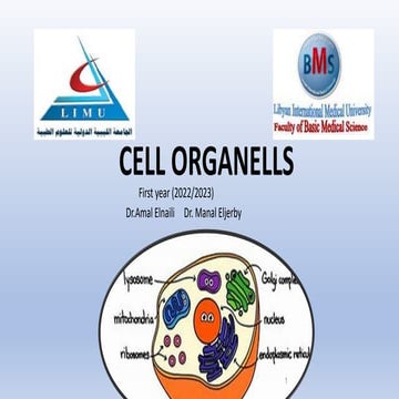 cell Organelles.pdf