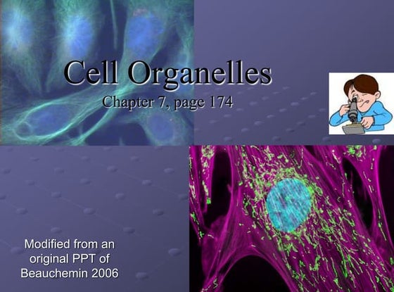 Cell | PPT | Biological Sciences | Science