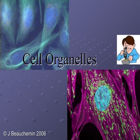 Cell Organelles beserta fungsinya bagi kehidupan | PPT
