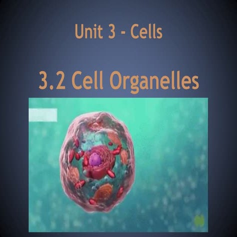 Cell Organelles.pptx