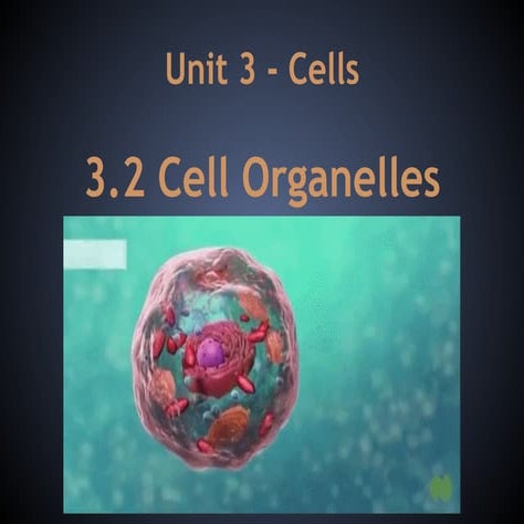 Cells Powerpoint Presentation | PPT