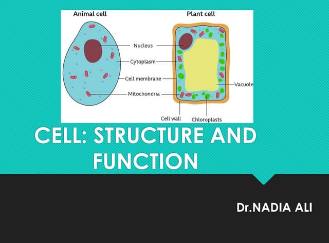 Cell and cell organelles | PPTX
